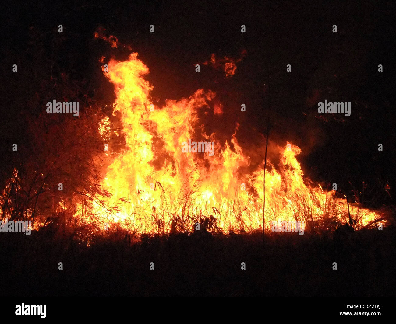 Fire Clearing of land Stock Photo - Alamy