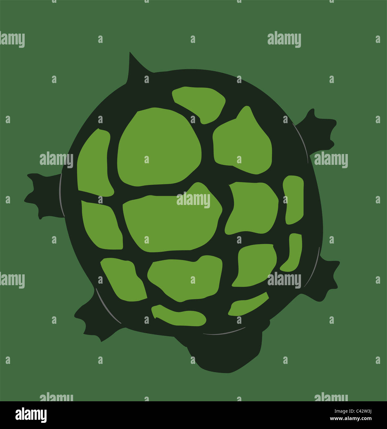 Turtle in green background Stock Photo - Alamy