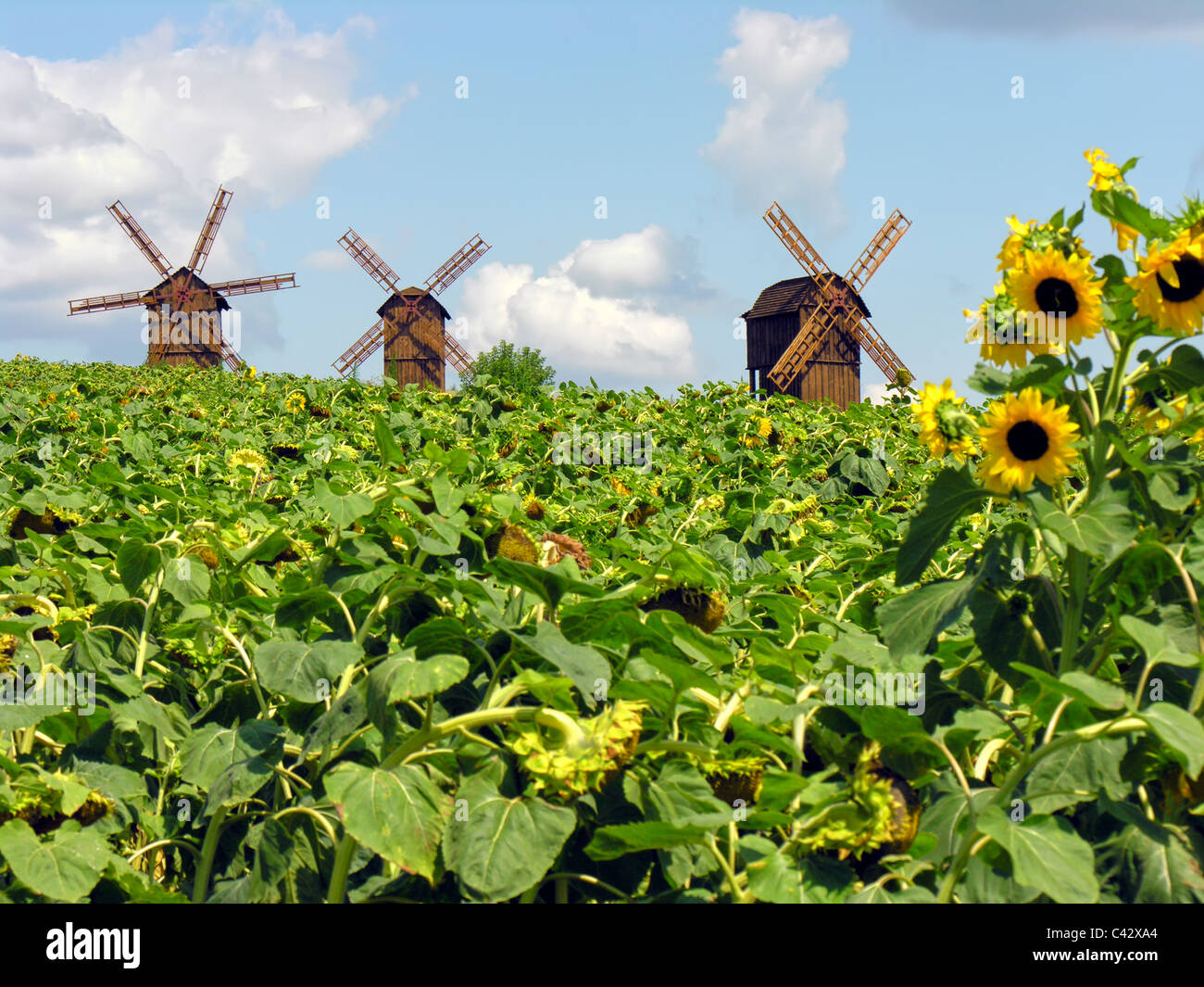Ukrainian windmill hi-res stock photography and images - Alamy