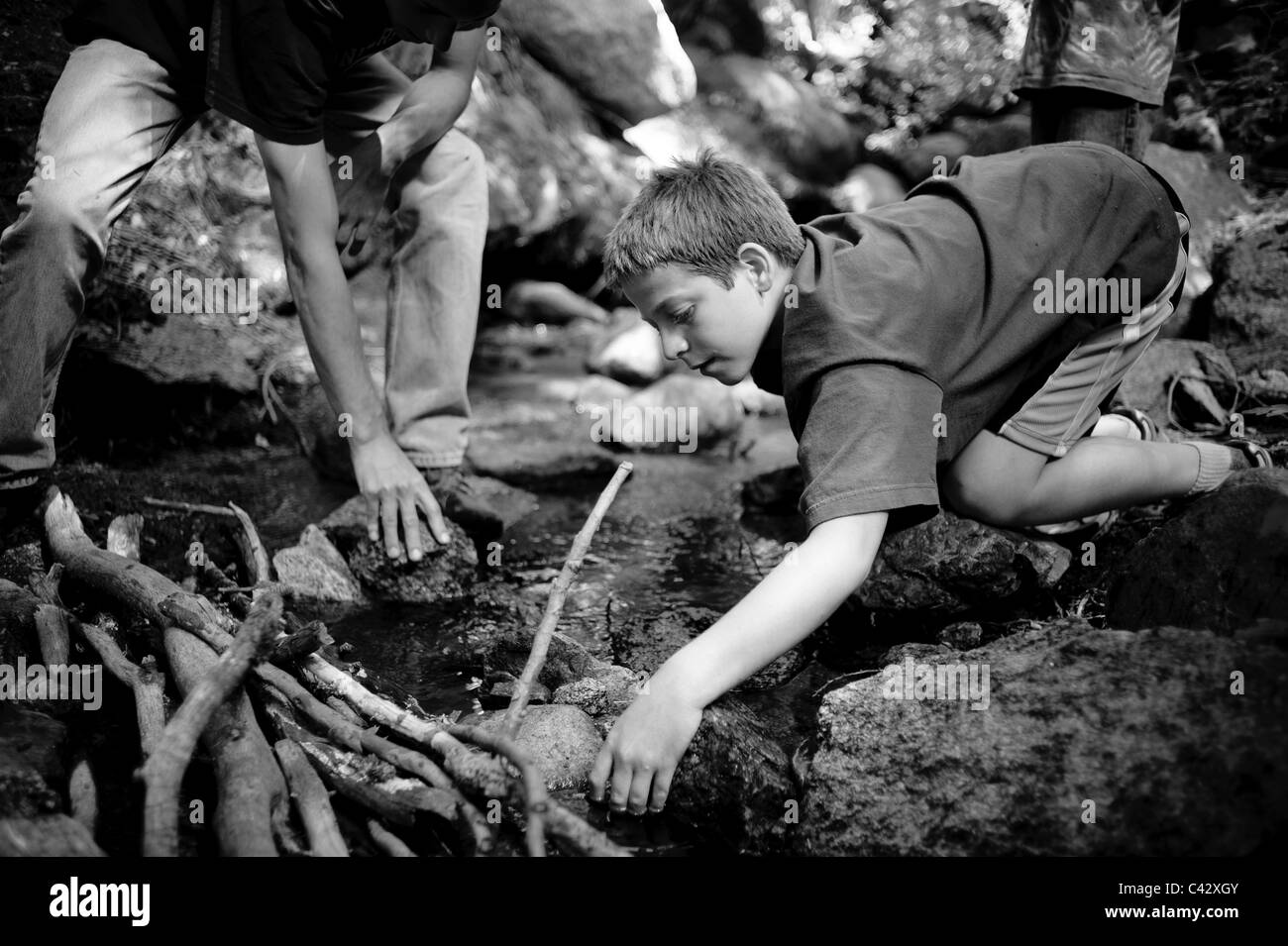 Summer camper builds a rock dam Stock Photo - Alamy
