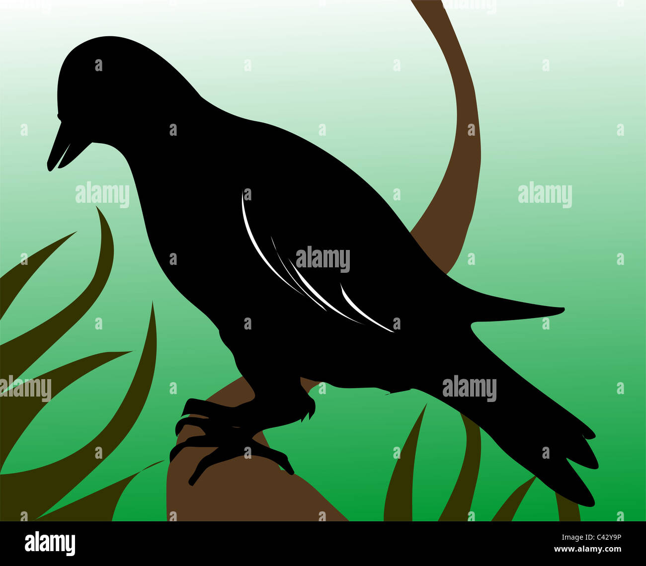crow sitting on a branch of tree Stock Photo - Alamy