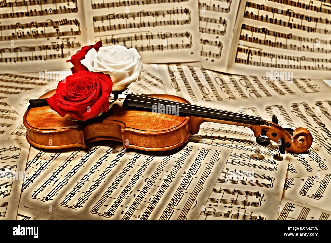old violin with musical notes and roses closeup Stock Photo - Alamy