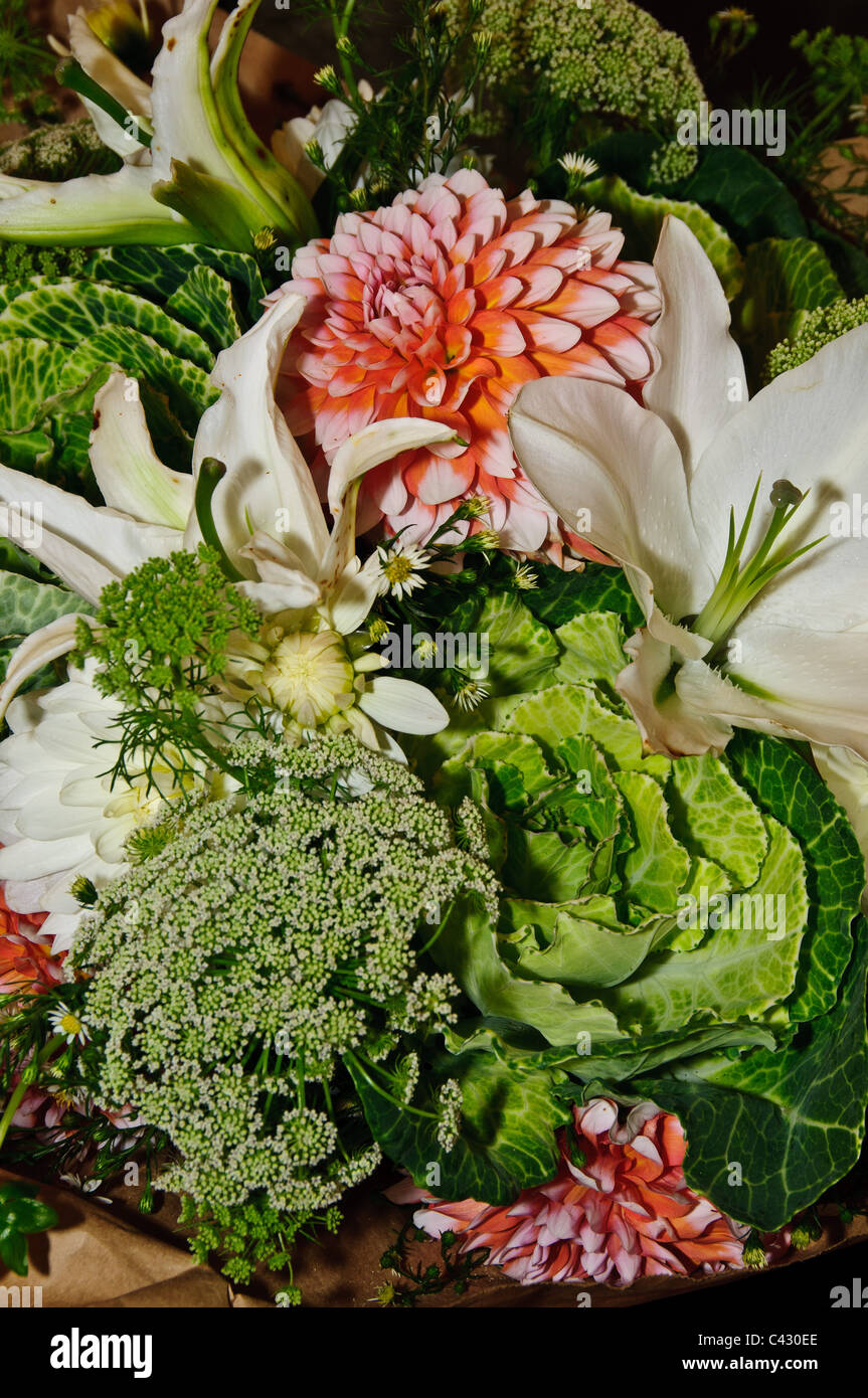 Cluster of main flower hi-res stock photography and images - Alamy