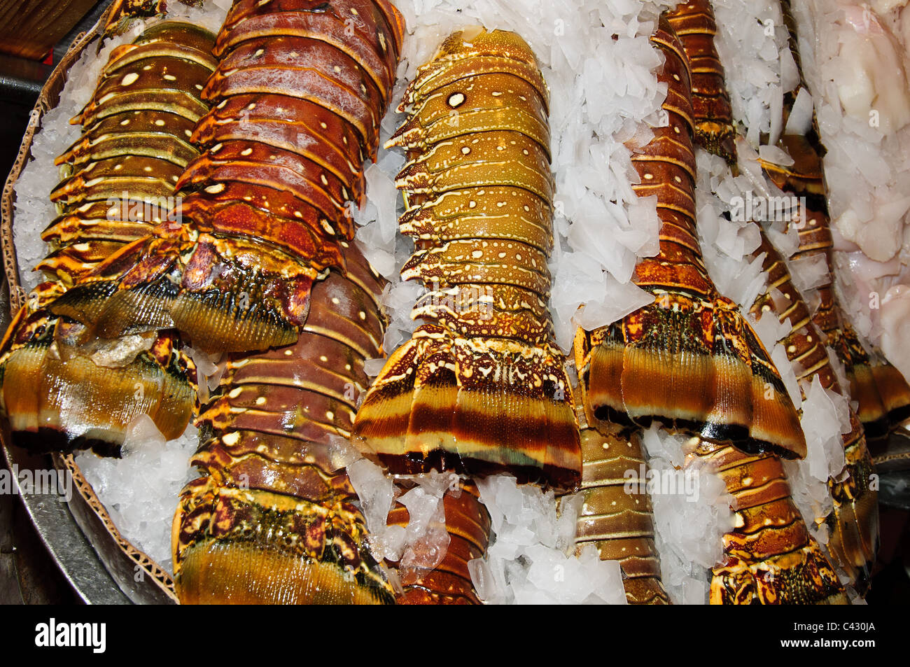Lobster display hi-res stock photography and images - Alamy