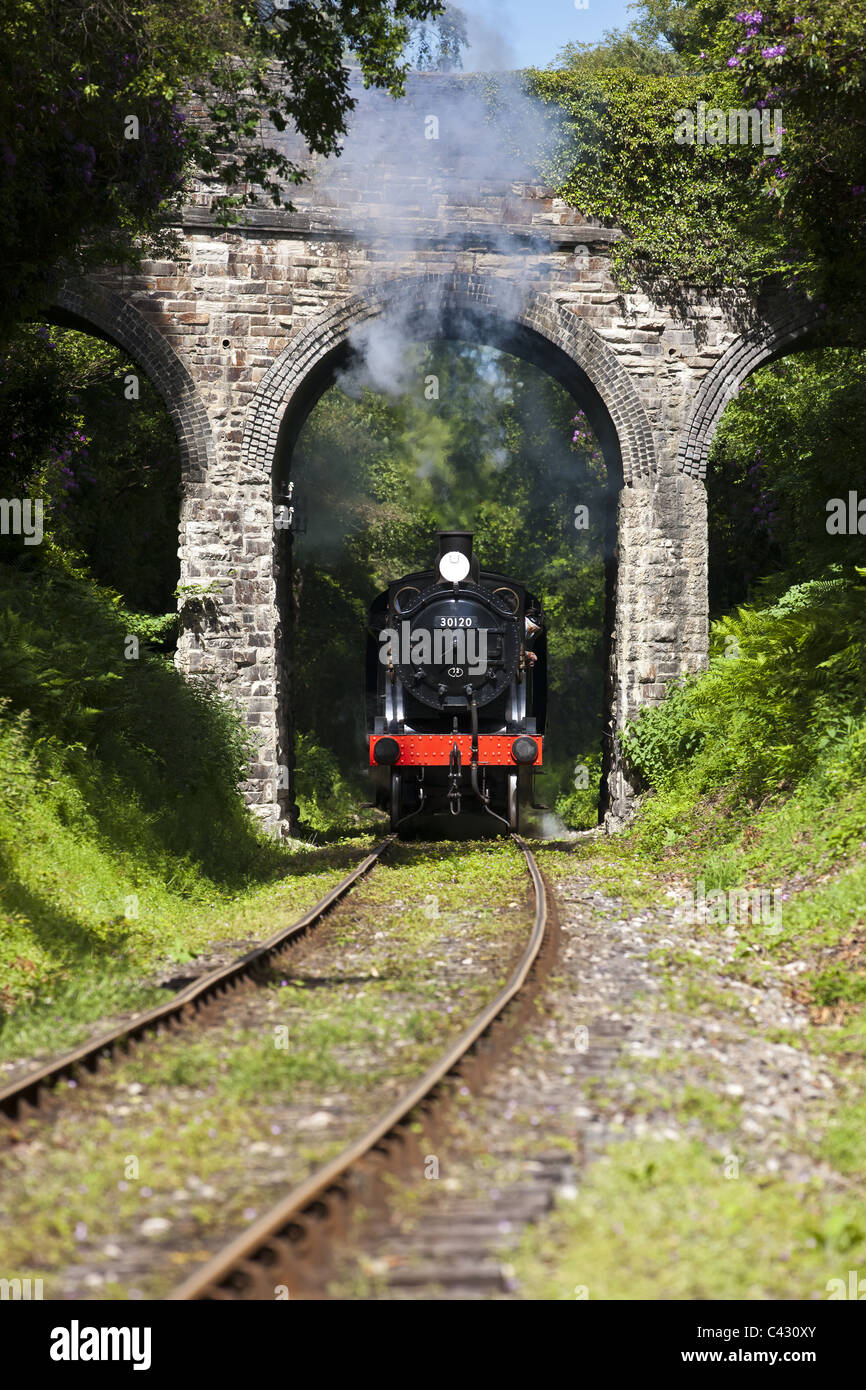 Bodmin & Wenford Steam Railway Stock Photo - Alamy