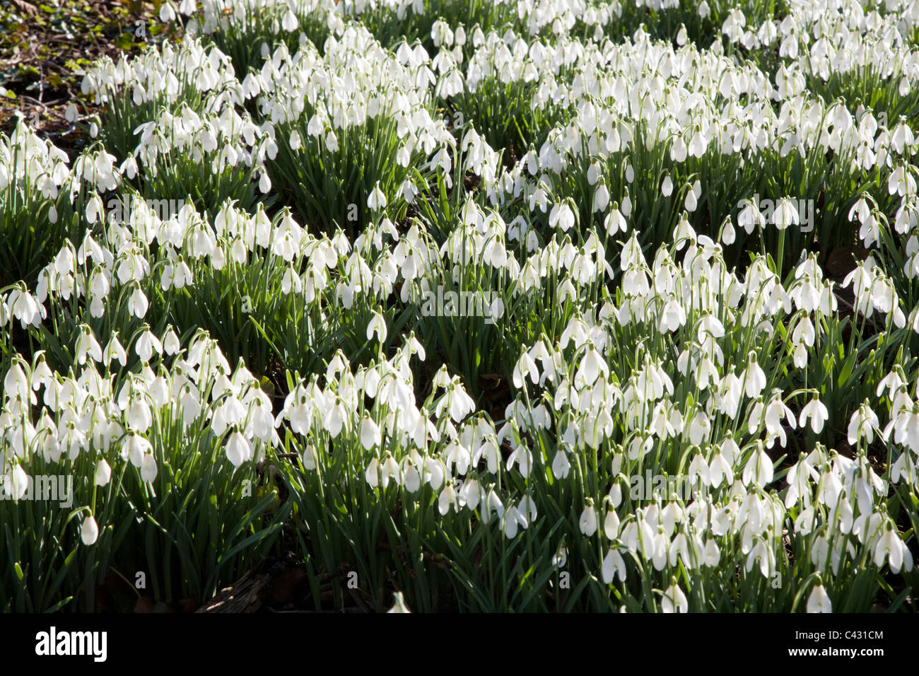 Hopton hall uk hi-res stock photography and images - Alamy