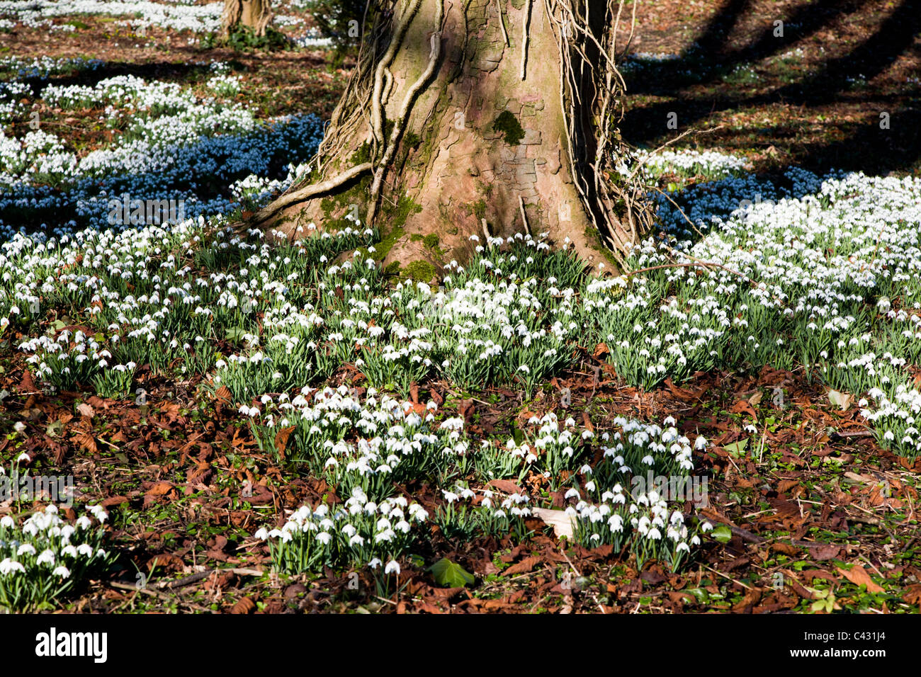 Hopton hall hi-res stock photography and images - Alamy