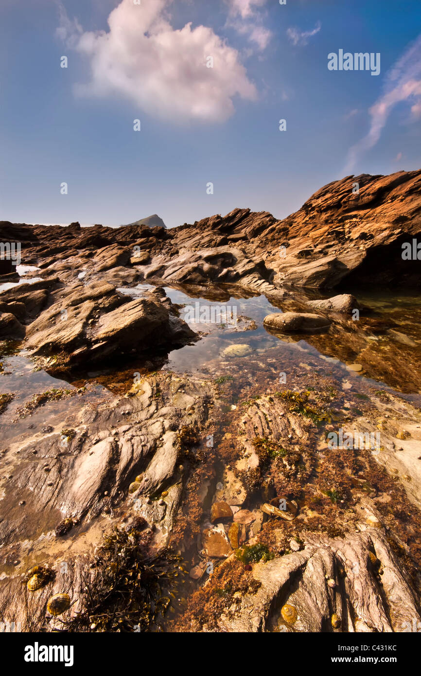 Mewstone hi-res stock photography and images - Alamy