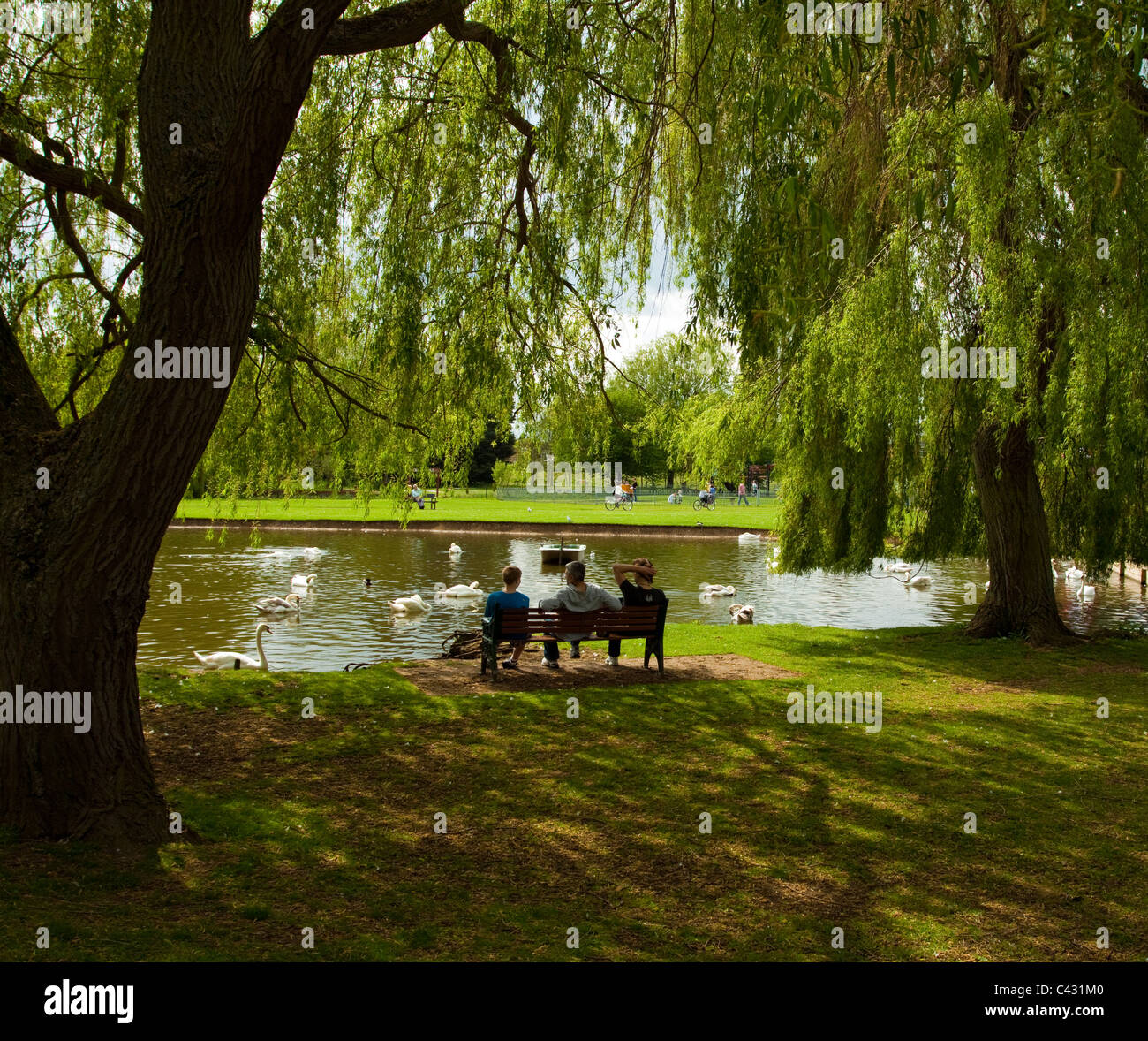 3 people relax by sitting on a park bench under some willow trees on a ...