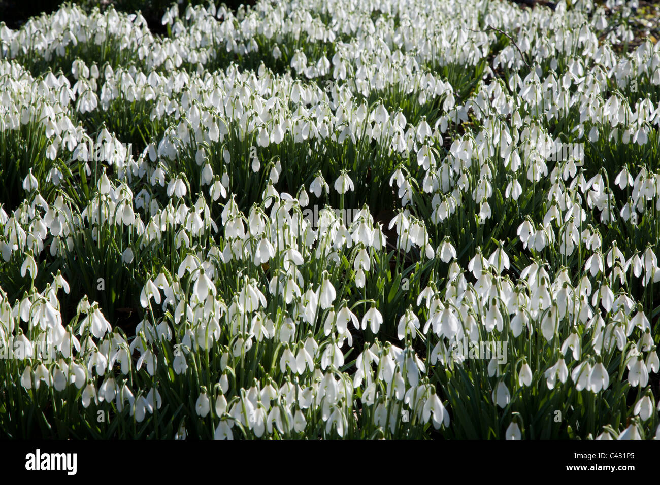 Hopton hall uk hi-res stock photography and images - Alamy