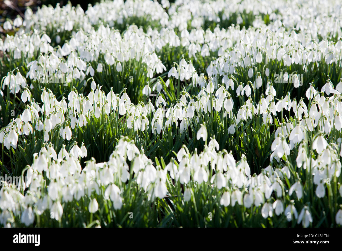 Hopton hall uk hi-res stock photography and images - Alamy