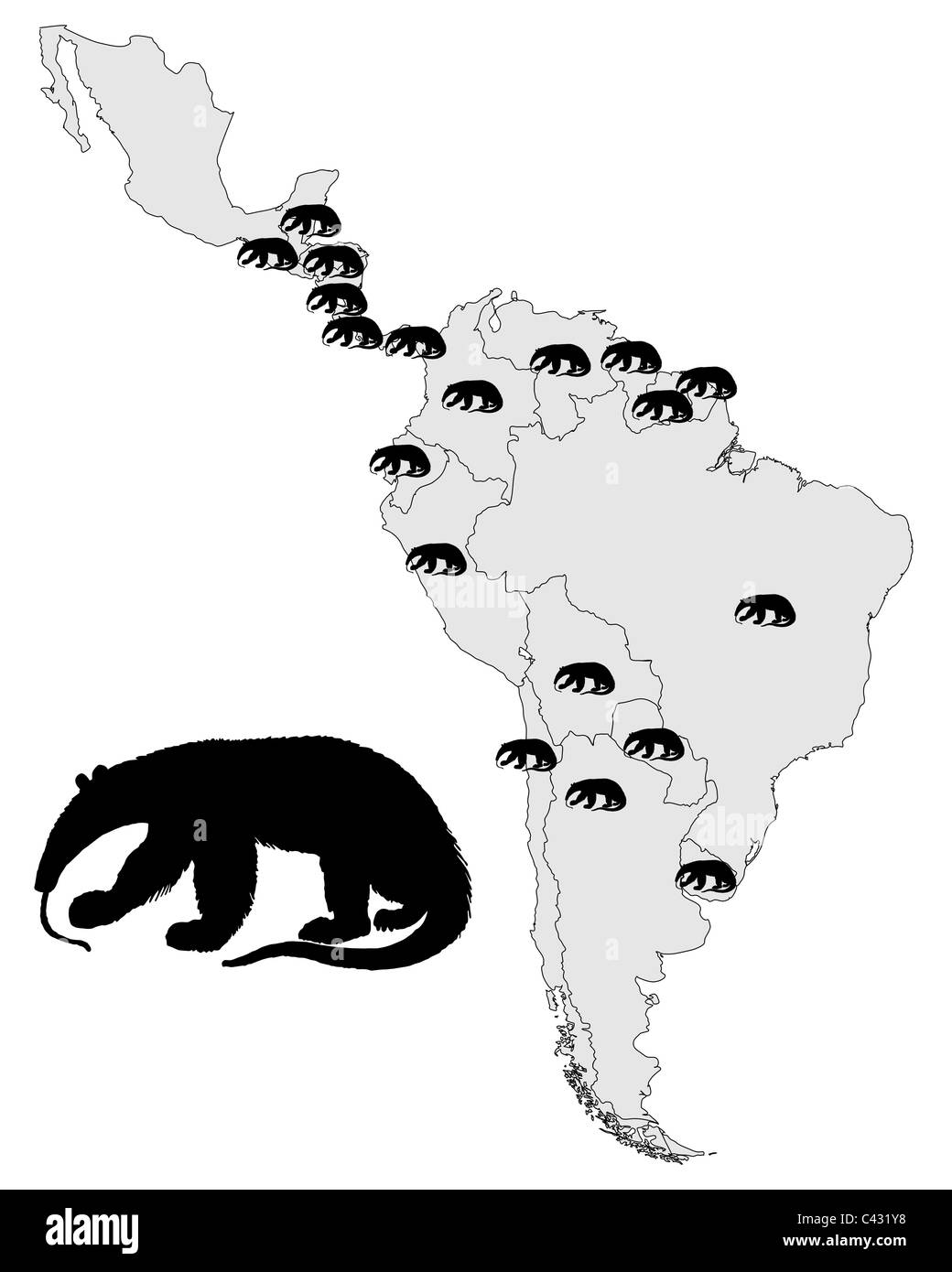 Giant anteater range Stock Photo - Alamy