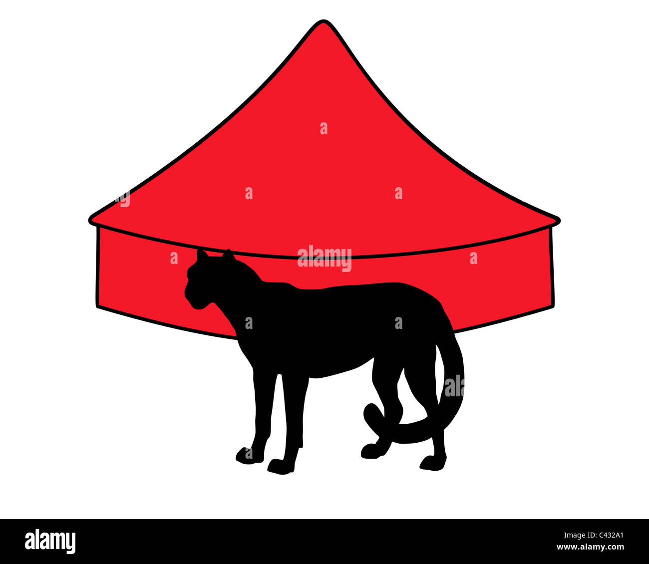 Cheetah in circus Stock Photo - Alamy