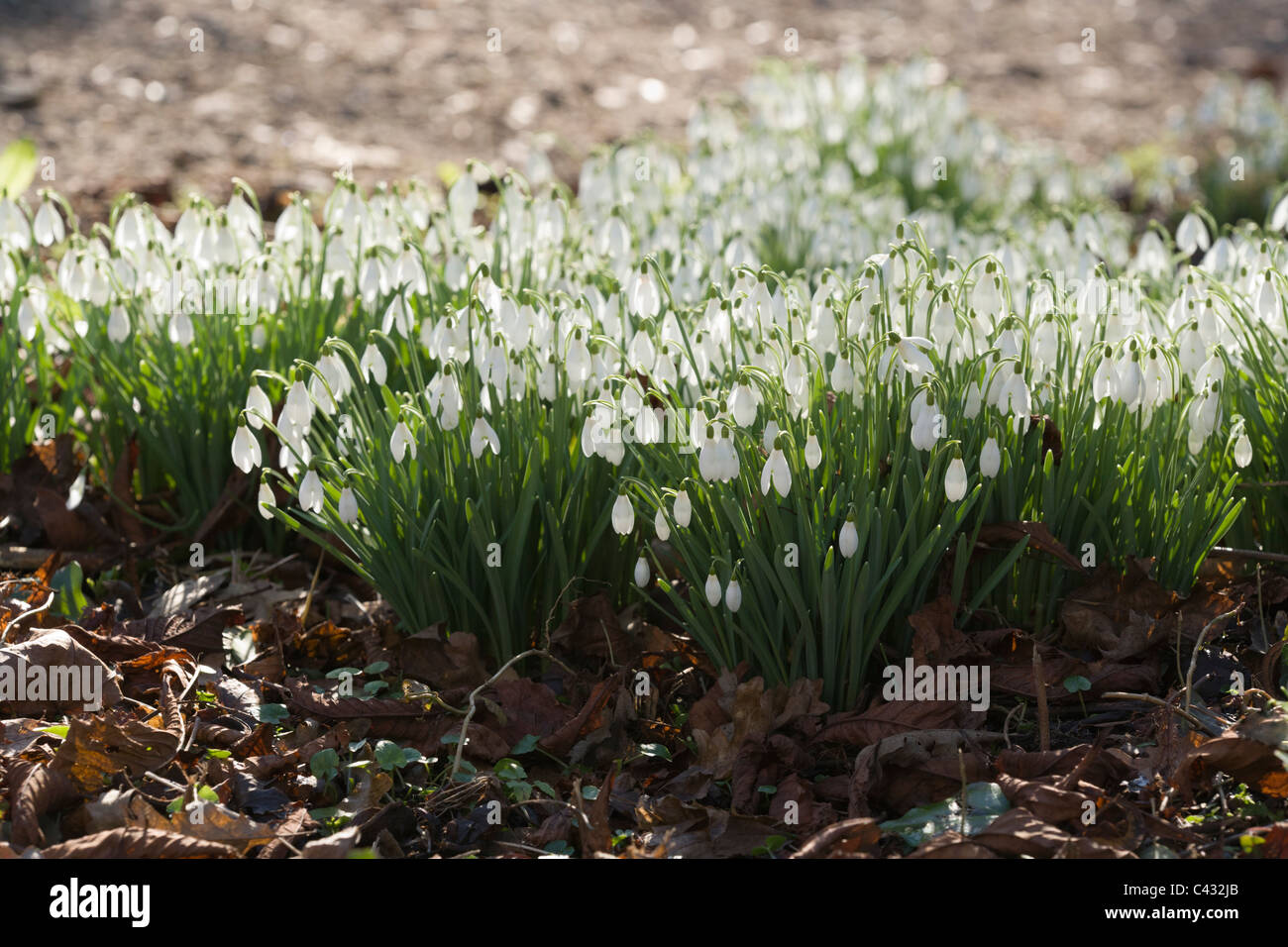 Hopton hall uk hi-res stock photography and images - Alamy