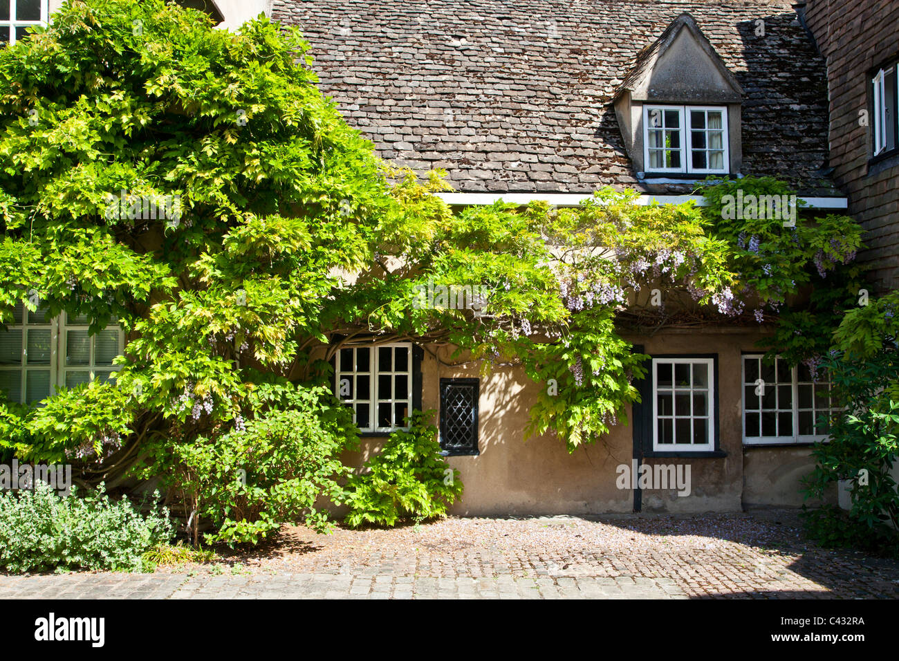 Wisteria cottage hi-res stock photography and images - Alamy