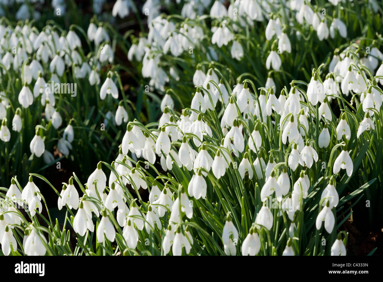 Hopton hall uk hi-res stock photography and images - Alamy