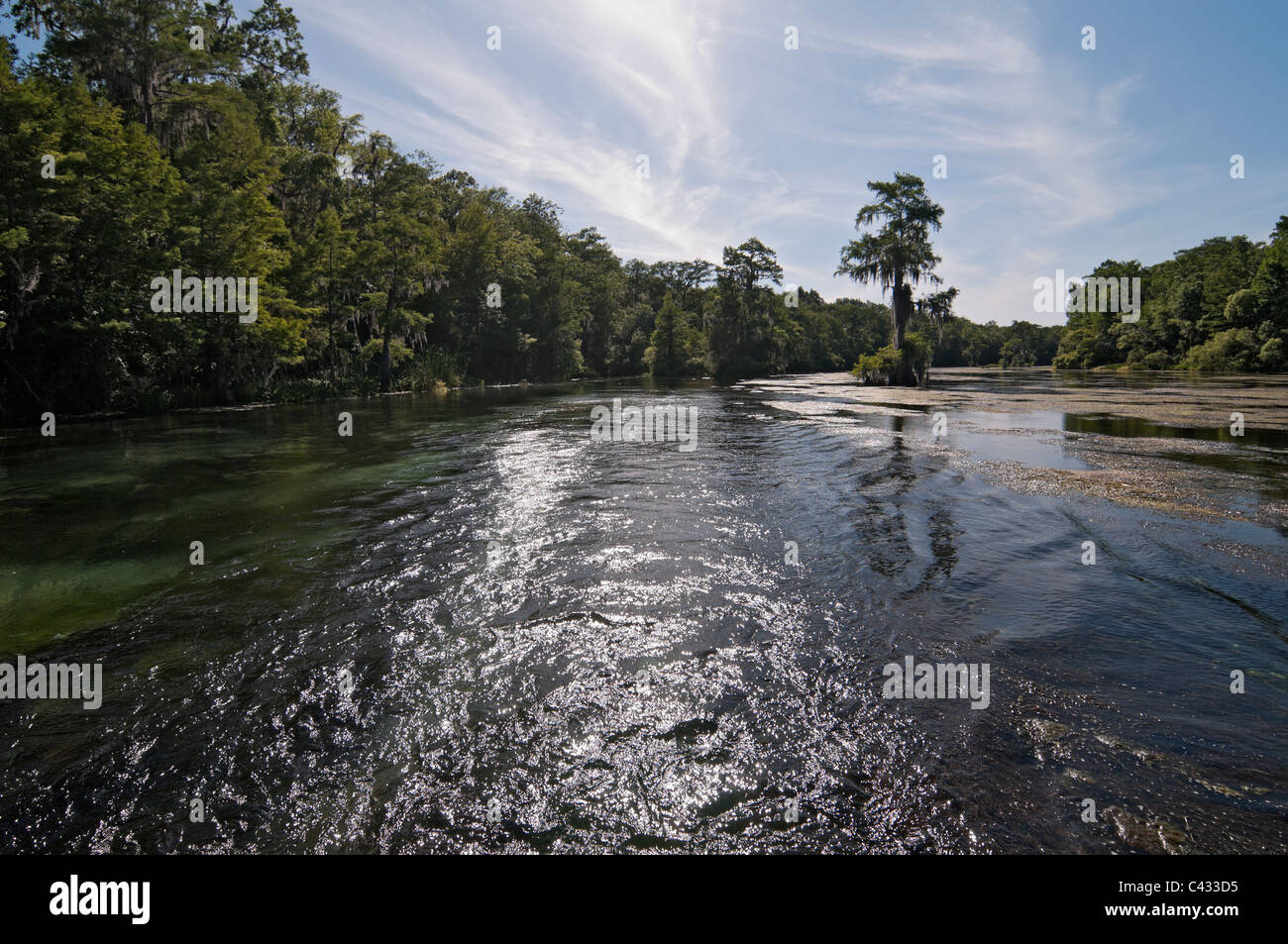 Scenic views of the Wakulla River at Wakulla Springs State Park near ...