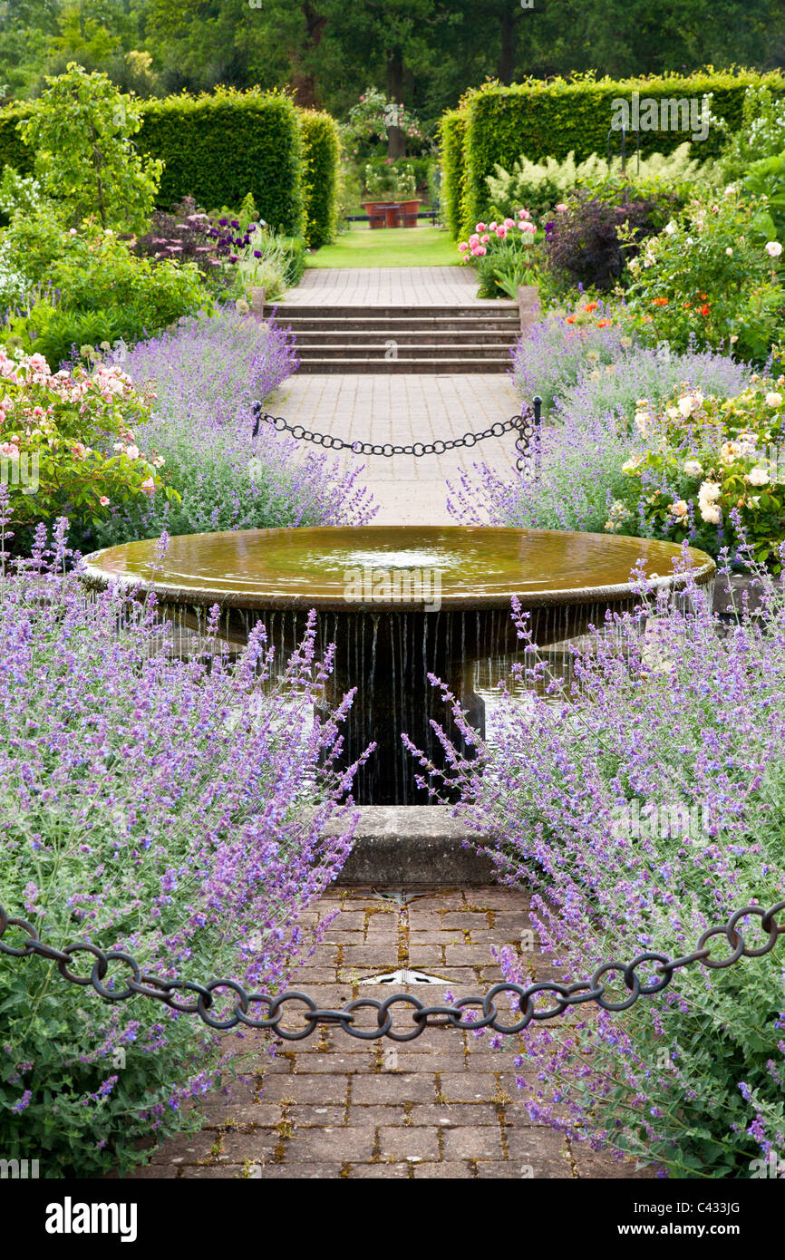 The country garden with water feature, roses and Nepeta or catmint at ...
