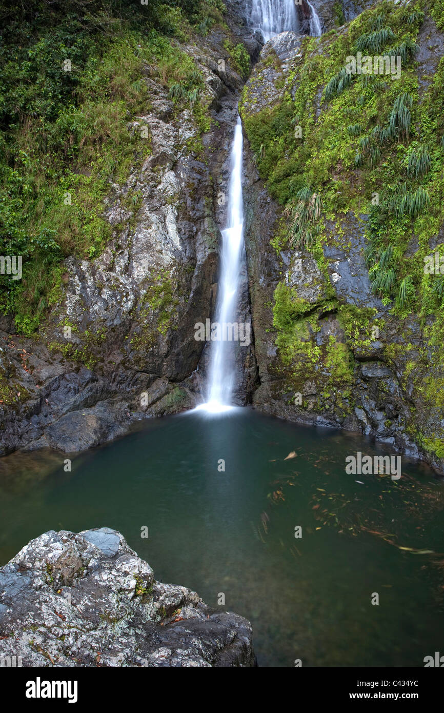 Usa, Caribbean, Puerto Rico, Central Mountains, Toro Negro Forest, Dona ...
