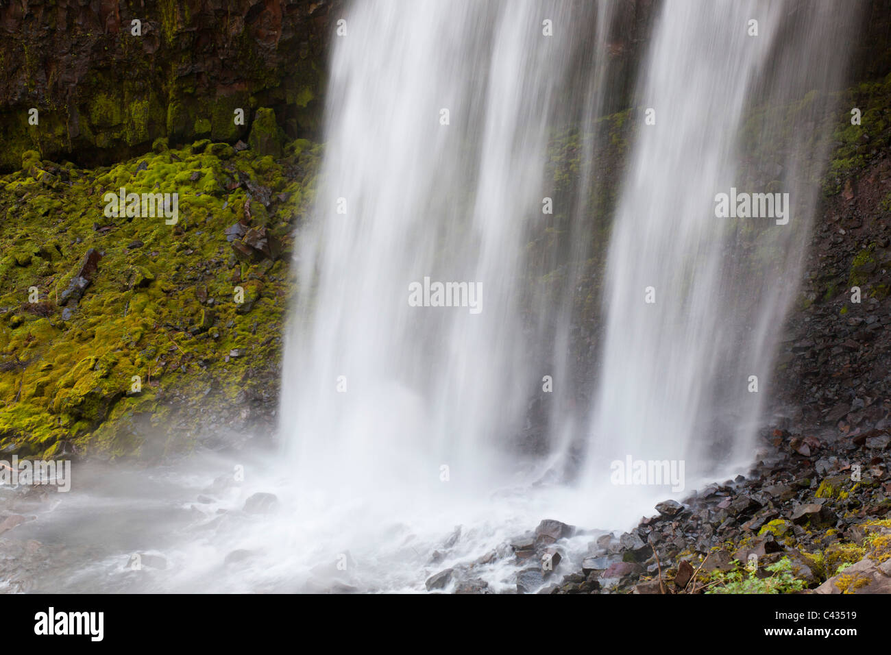 Tamanawas Falls on Cold Spring Creek near Mount Hood, Oregon USA Stock ...
