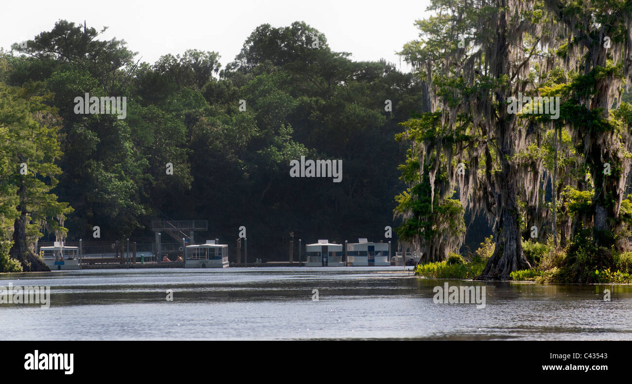 Looking from the Wakulla River run toward the headwaters and main basin ...