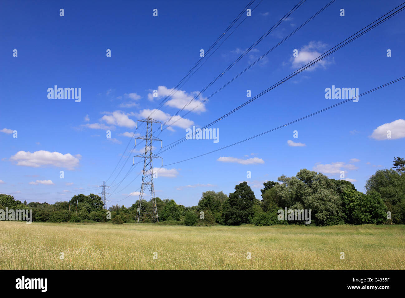 Electricity pylons in countryside farm field hi-res stock photography ...