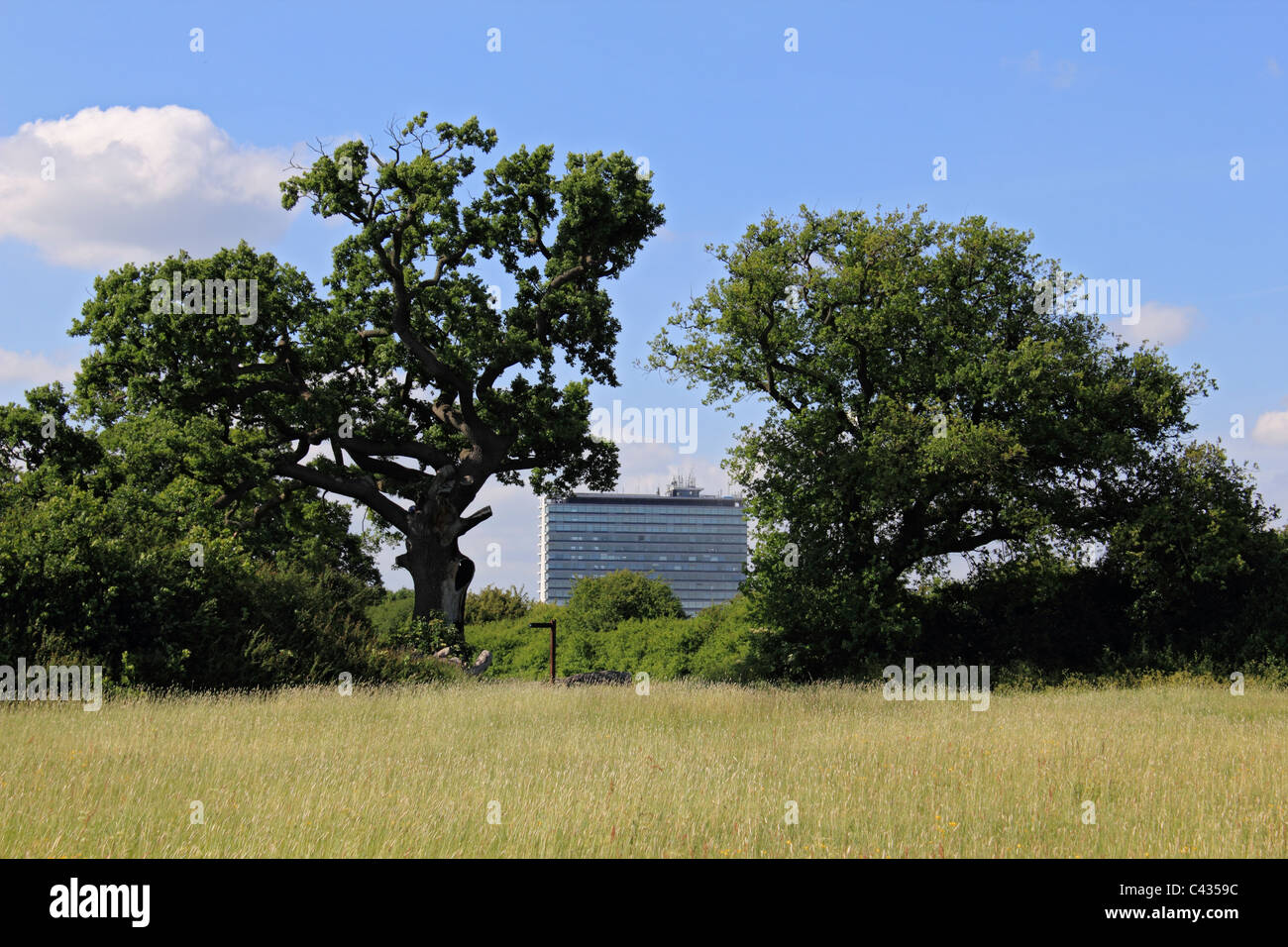 Tolworth court farm fields hi-res stock photography and images - Alamy