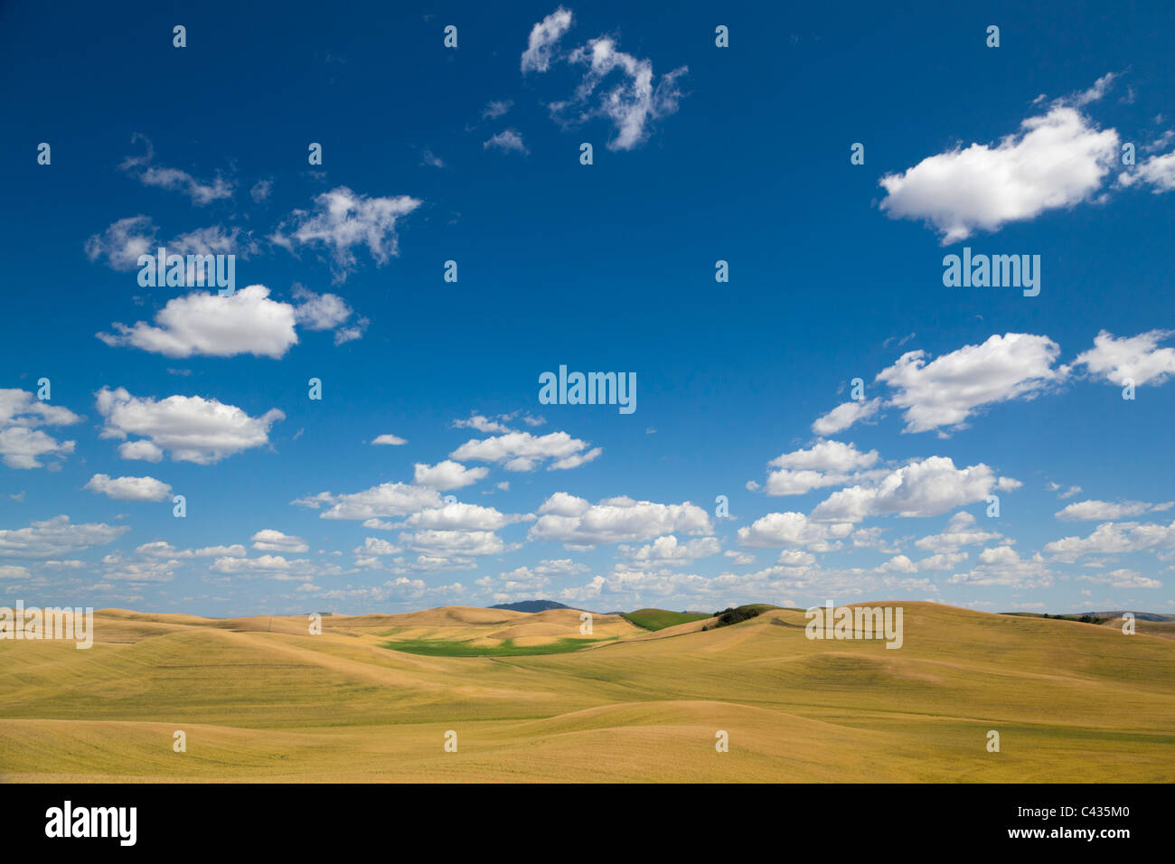 Loess landscape hi-res stock photography and images - Alamy