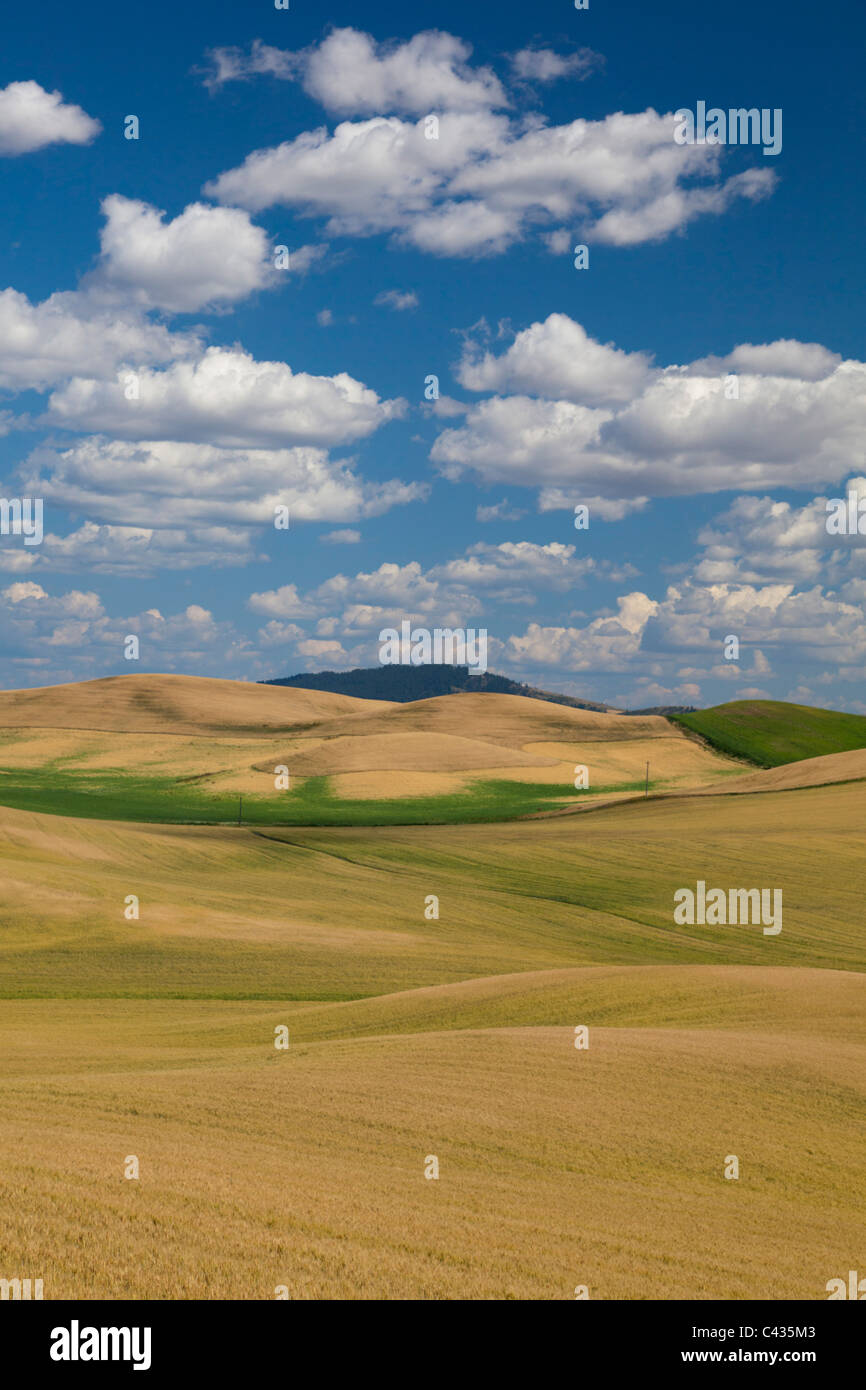 Loess landscape hi-res stock photography and images - Alamy