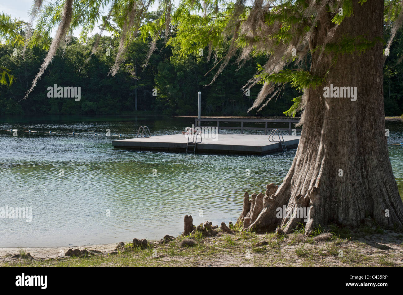 Wakulla spring hi-res stock photography and images - Alamy