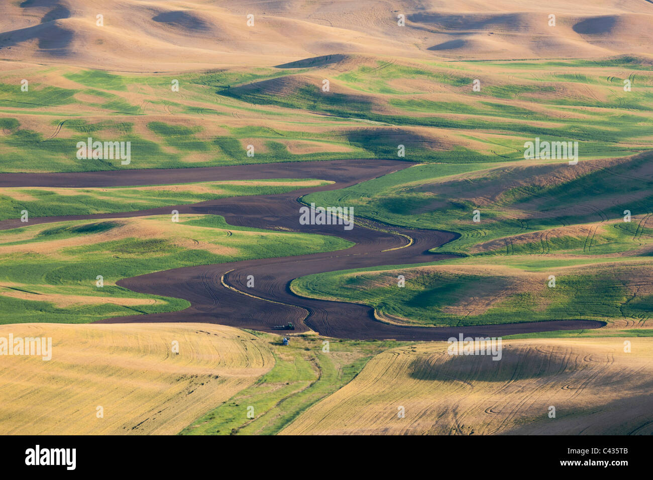 View of the Palouse agricultural landscape from Steptoe Butte ...