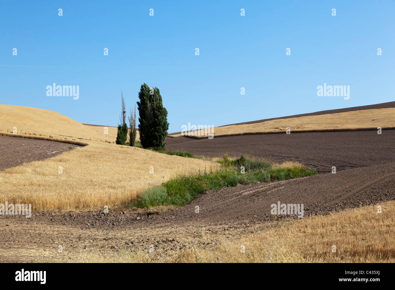 Palouse landscape patterns Washington USA Stock Photo - Alamy