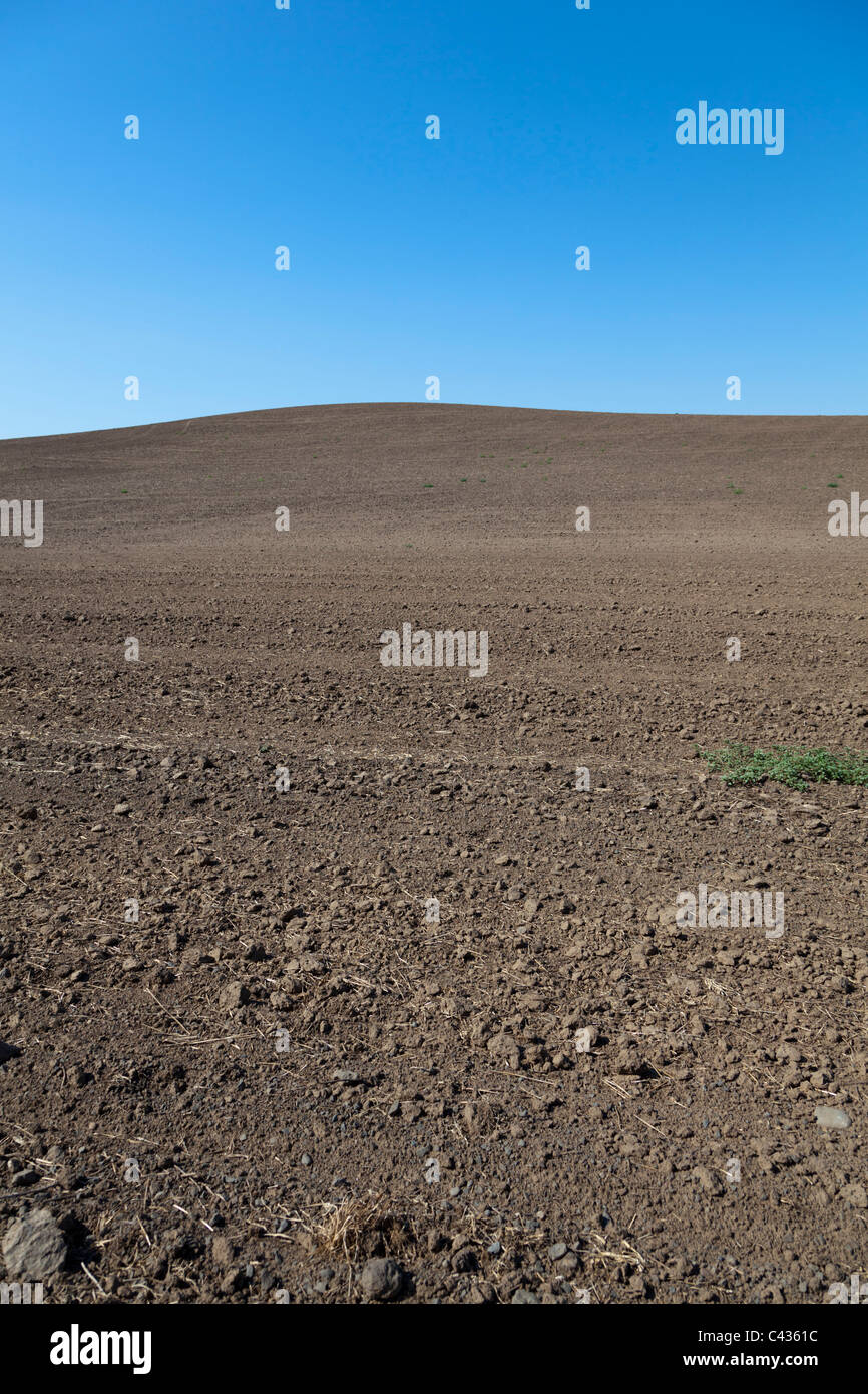 Loess Soil Stock Photos & Loess Soil Stock Images - Alamy