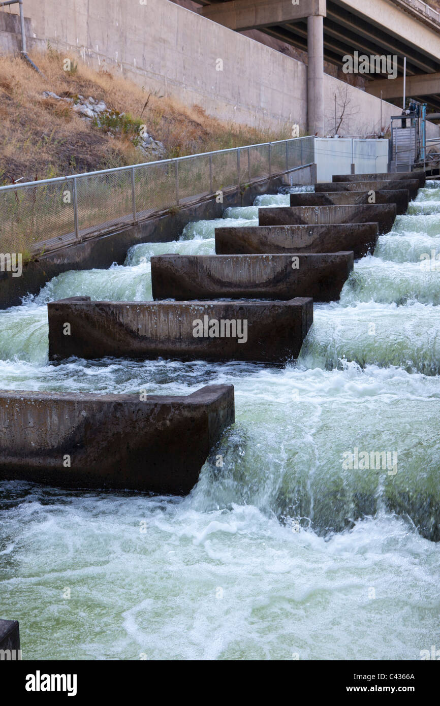 Fish pass at Lower Granite Dam Columbia River Washington USA Stock ...