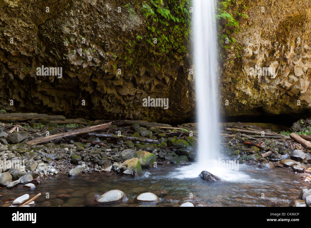 Oneonta gorge columbia river gorge hi-res stock photography and images ...
