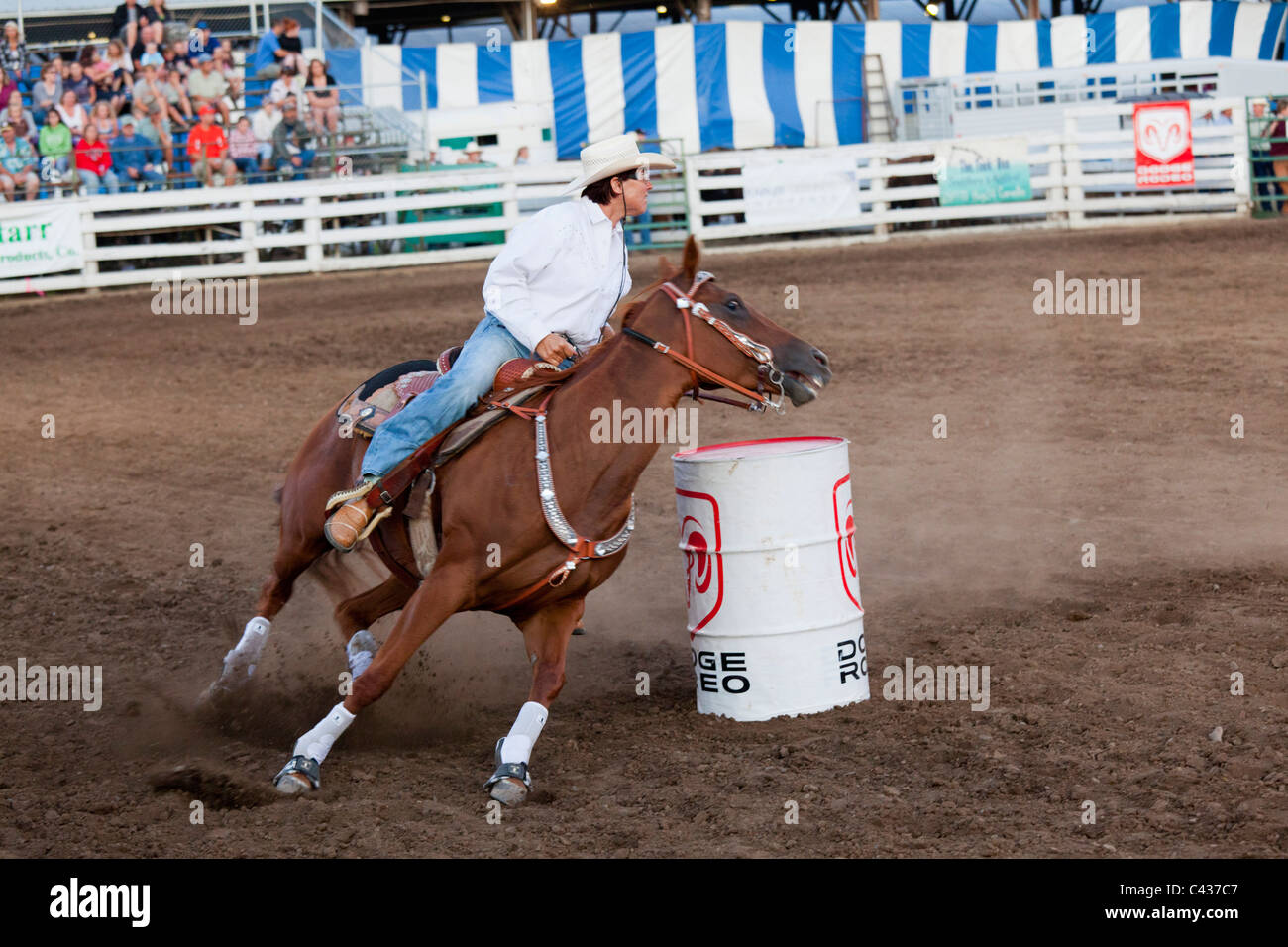 Rodeo at benton county fair hi-res stock photography and images - Alamy