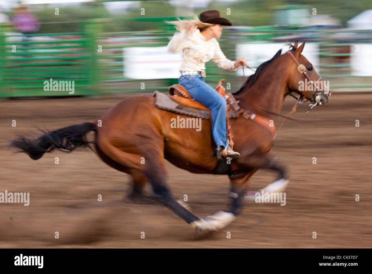 Rodeo at benton county fair hi-res stock photography and images - Alamy