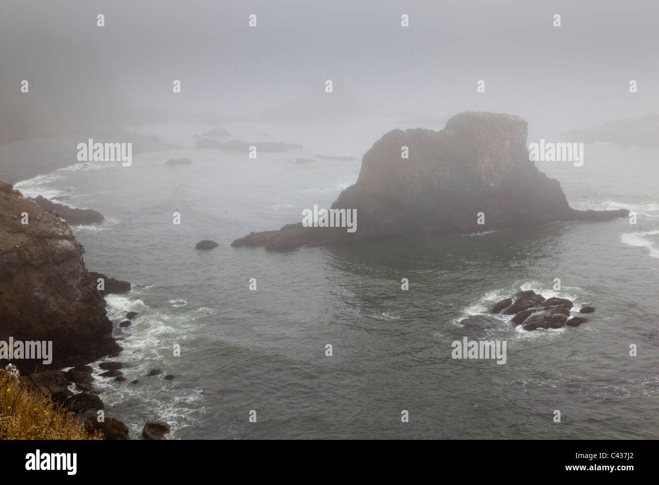 Coast sea mist hi-res stock photography and images - Alamy