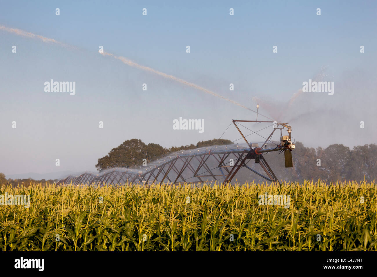 Sky oregon crop hi-res stock photography and images - Alamy