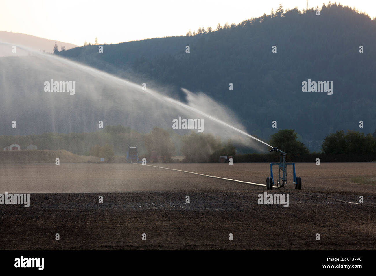 Spray irrigation in Willamette Valley Oregon USA Stock Photo - Alamy