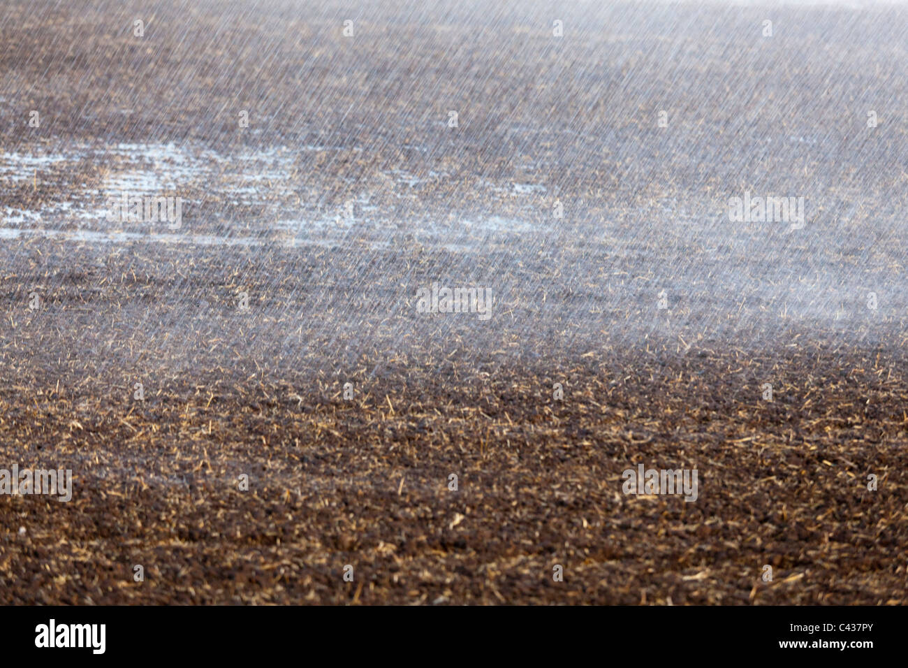 Irrigation water landing on bare soil Stock Photo - Alamy