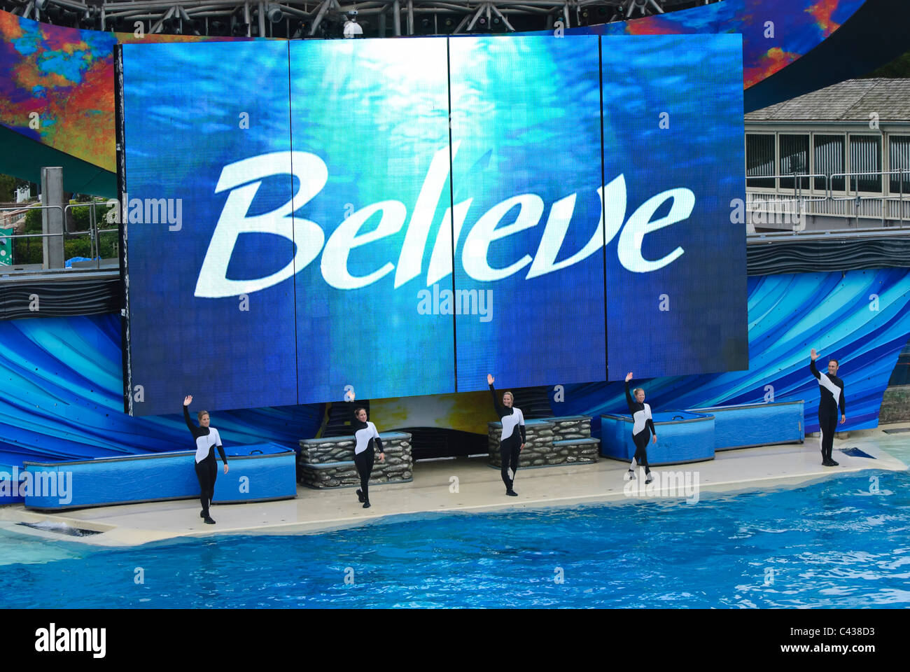 Killer whales perform in Shamu stadium at SeaWorld Stock Photo - Alamy