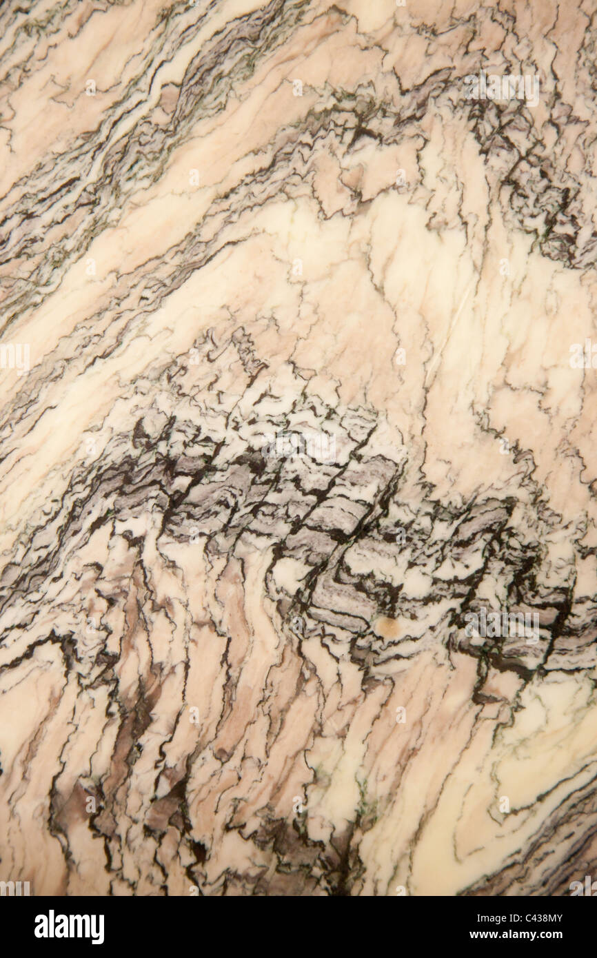 Brown and cream colored hi-res stock photography and images - Alamy