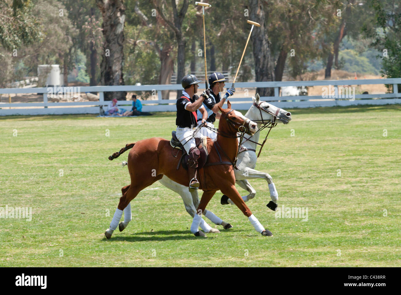Polo players riding down field Stock Photo - Alamy