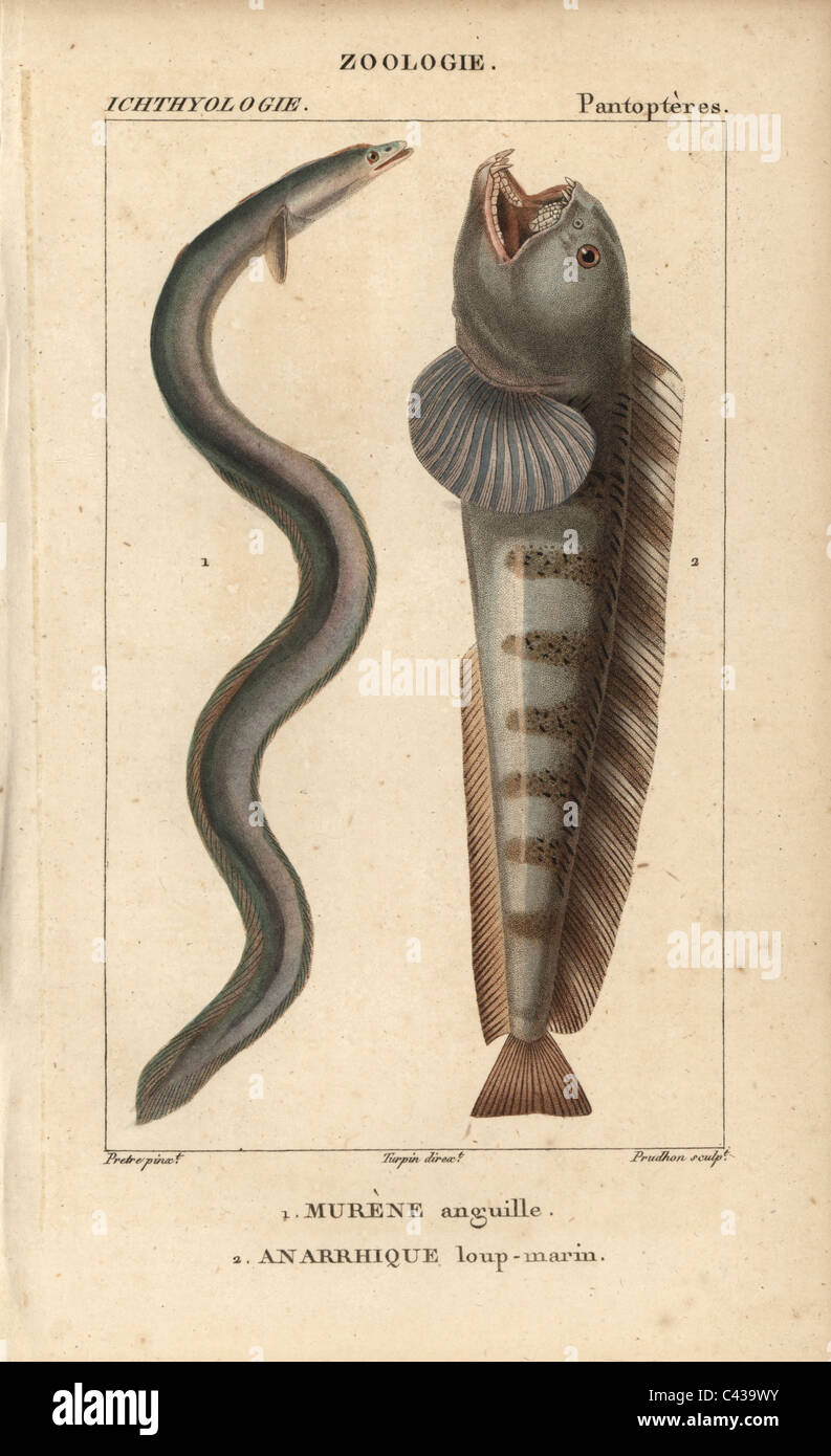 Empress of the atlantic hi-res stock photography and images - Alamy