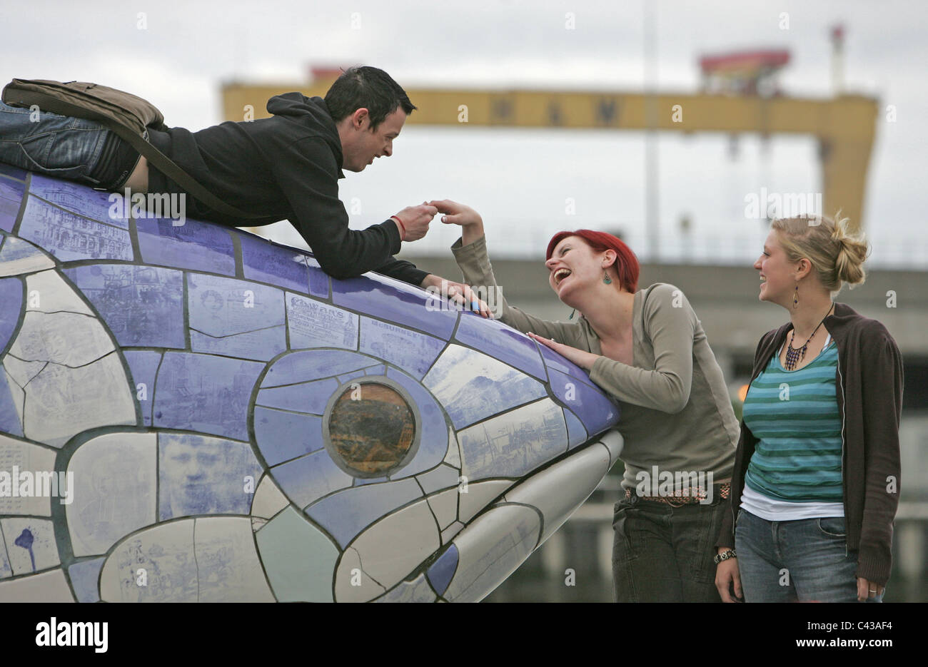 Fish of knowledge beside the river lagan lookout hi-res stock ...