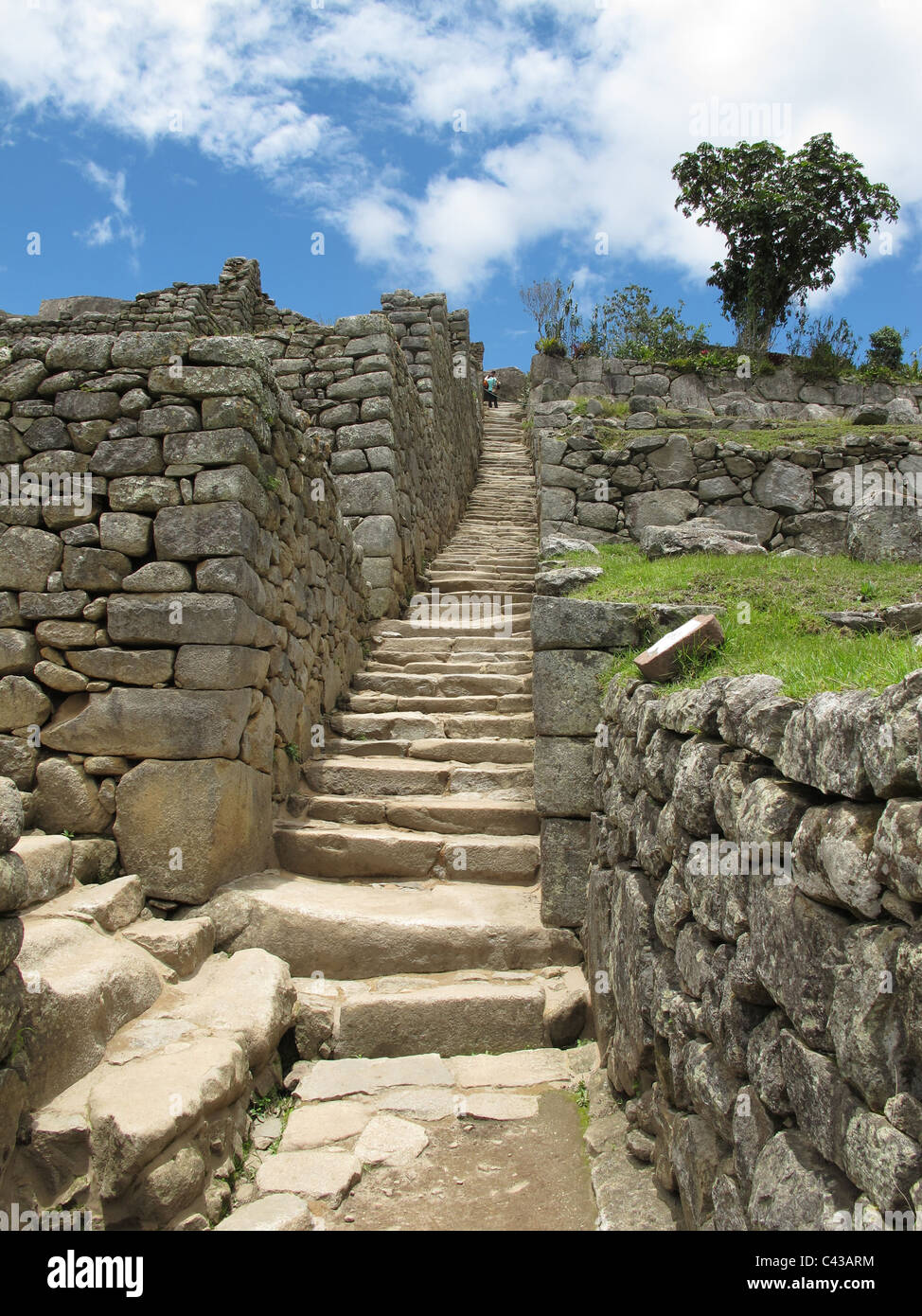 Inca steps at Machu Picchu, Peru, Unesco World Heritage Site Stock ...