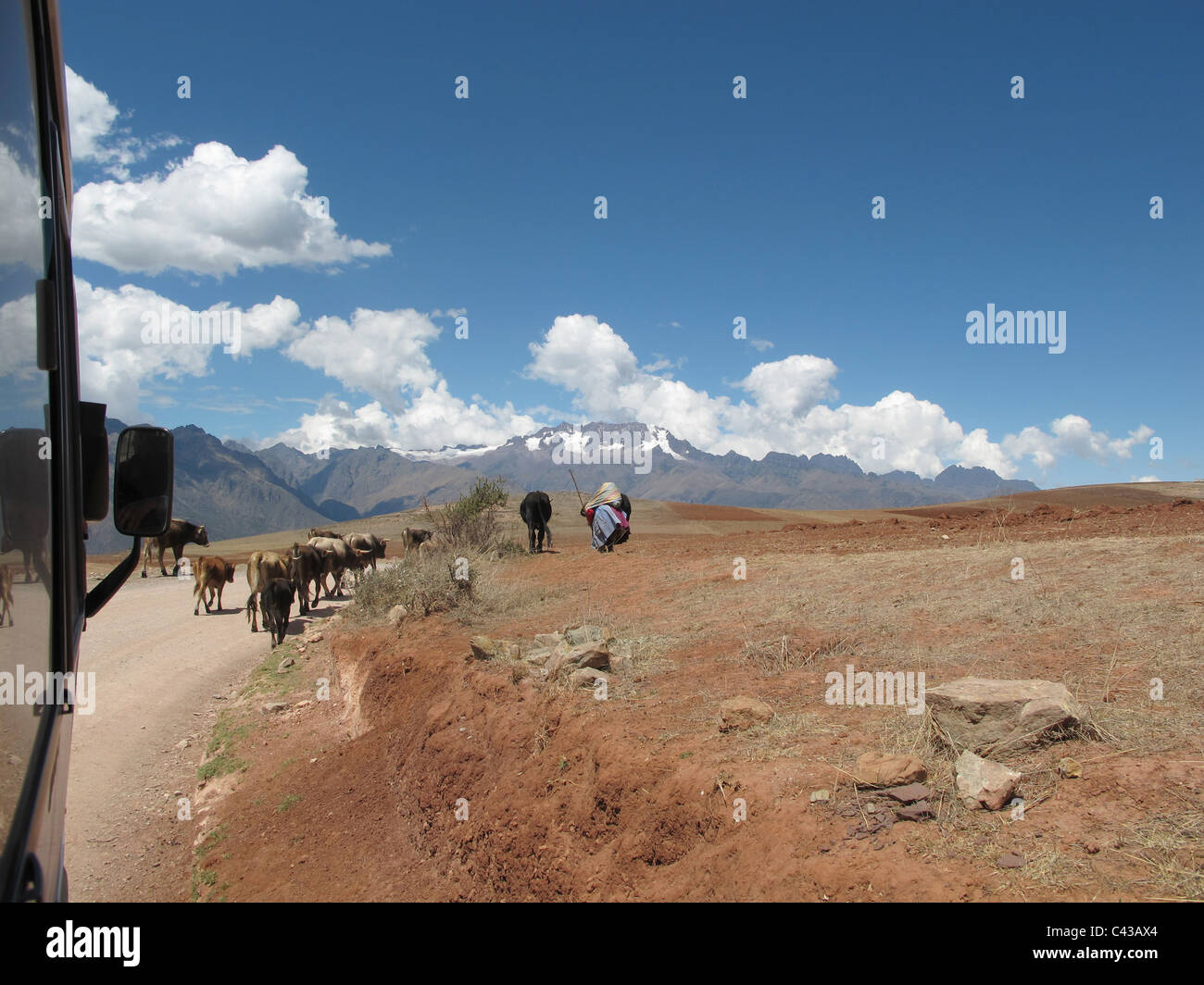 Tended woman hi-res stock photography and images - Alamy