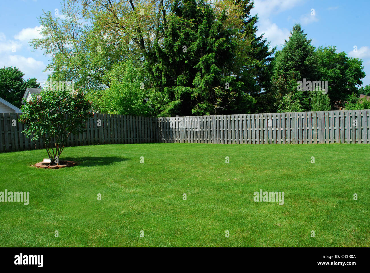 Backyard of green grass with privacy fence Stock Photo - Alamy