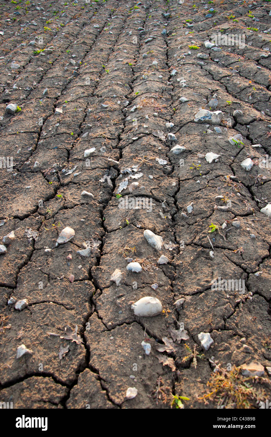 Cracked earth dry soil hi-res stock photography and images - Alamy